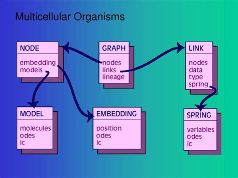 Ppt Cellerator A System For Simulating Biochemical Reaction Networks Powerpoint Presentation