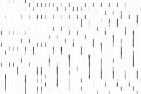 Binary Mosaic Patterns A Decorative Illustration By Huebert World In