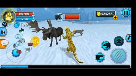 Snow Leopard Youtube