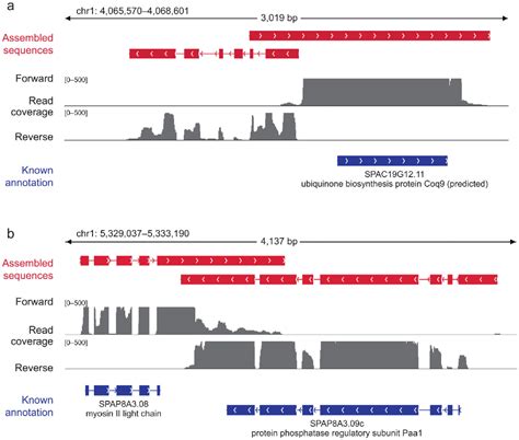 Figure 3 From Trinity Reconstructing A Full Length Transcriptome Without A Genome From Rna Seq