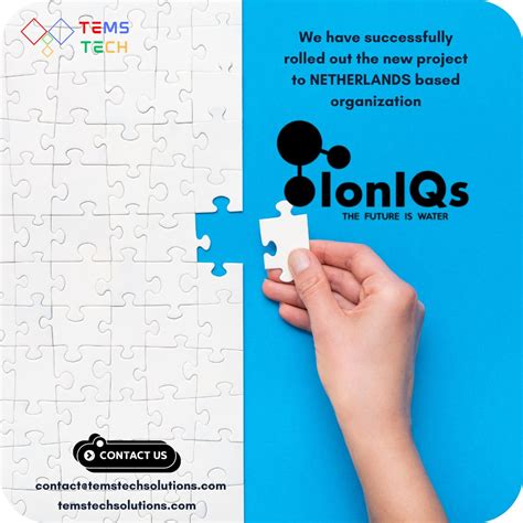 Tems Techsolutions Ioniqs Internationalproject Businessconsulting Watertechnology