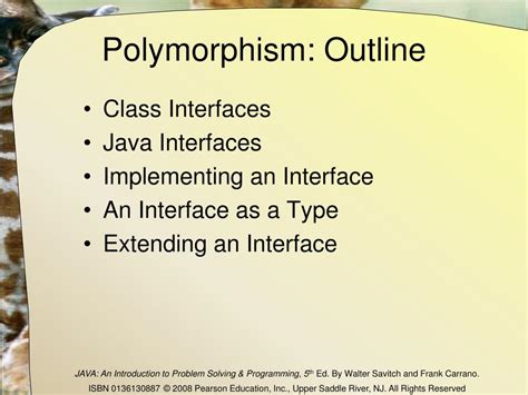 Ppt Polymorphism And Inheritance Powerpoint Presentation Free Download Id 5172825