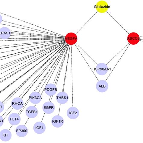 Drug Target Interactome Of Gliclazide Drug Gliclazide In Yellow Download Scientific