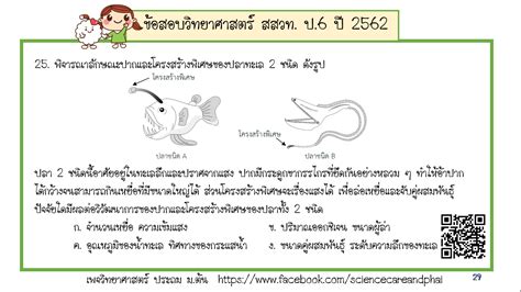 📣มาแล้ว ข้อสอบ สสวท ป 6 ปี 2562📣 วิทยาศาสตร์ ประถม ม ต้น