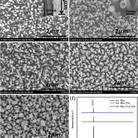 SEM Images Of A ZnO Nanorod Arrays B ZnO TiO2 Coreshell Nanorod Download Scientific Diagram