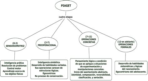 Esquema Del Desarrollo Humano Imagui
