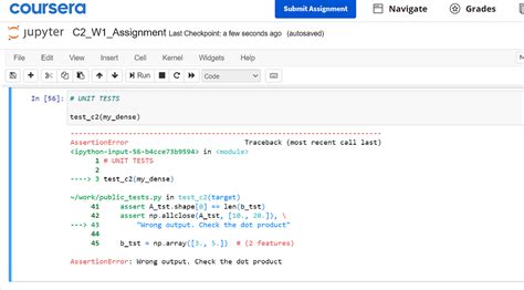 c 2 w 1 assignment test issue advanced learning algorithms