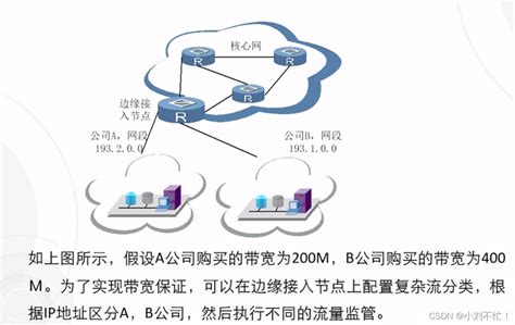 流量分类与标记 如何对于语音视频等进行流分类 csdn博客