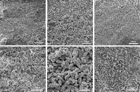 Surface Morphology Of β Pbo2 Coating On The Al Tib2 10 Ti4o7 Download Scientific Diagram