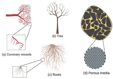 Materials Free Full Text Fractal Analysis Of A Non Newtonian Fluid