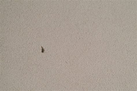 M Rmol Crema Gran Gala Buz S E X M Rmoles Puente