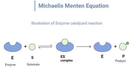 Michaelis Menten Equation Assumptions Derivation Graphs Chemistry Notes