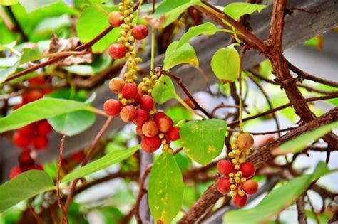 추석 명절 대표기도문 모음 네이버 블로그