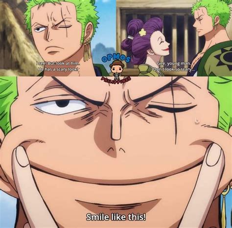 Pin On Sara One Piece Crew One Piece Pictures One Piece Meme
