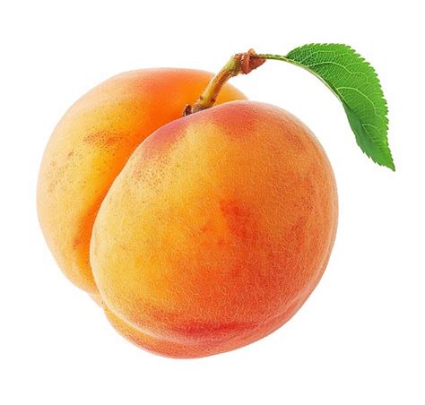 16000 Fresh Peach Png Pictures