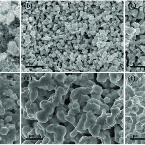 Evolution Of Microstructure After Sintering W Y 2 O 3 Samples To