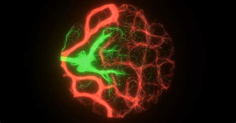 Learn How To Create Particle Trail Sim