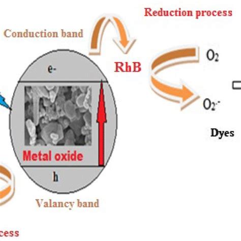 Schematic Diagram Of General Photocatalytic Mechanism Of TiO Nanoparticles Download