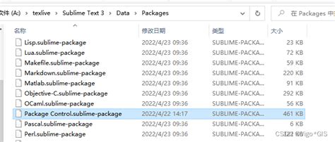 sublime text 3 an error occured installing package control please check