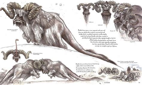 The Wildlife Of Star Wars A Field Guide エロ2次画像
