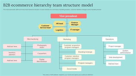 B B Ecommerce Hierarchy Team Structure Model B B Marketing Strategies To Attract PPT Template