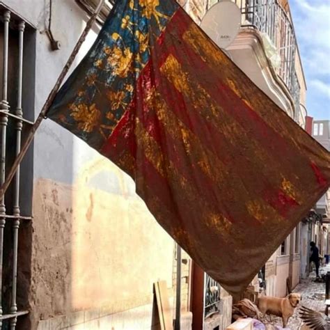 Dana Valencia Archivos Auca