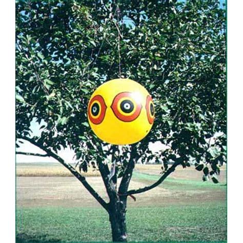 Bird X Inc Scare Eye Balloons Yellowblackwhite 3 Pack