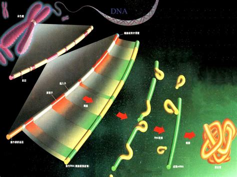 Ppt Bioinformatics Computational Biology — An Introduction Powerpoint Presentation Id 5167038