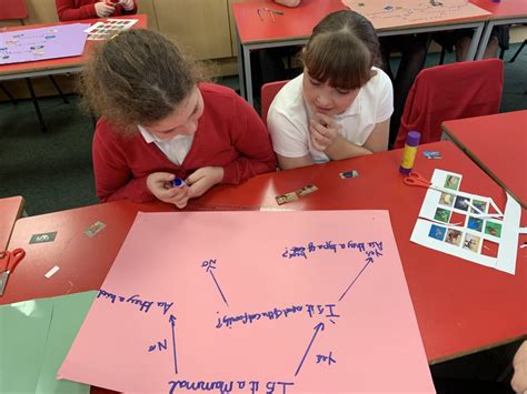 Year 6 Classification Marsden Primary School