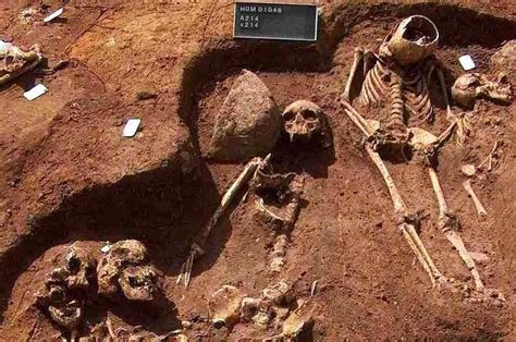 The Birth Of Modern Man New Insights Into The Evolution Of The Plague Pathogen