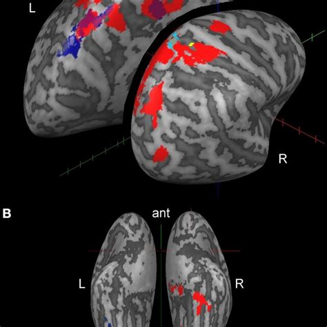Heat Maps Depicting Relative Eye Gaze Location Screen X°y° During