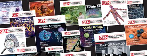 Journal Of Experimental Medicine Lymphocytes Must Adapt To A Wide
