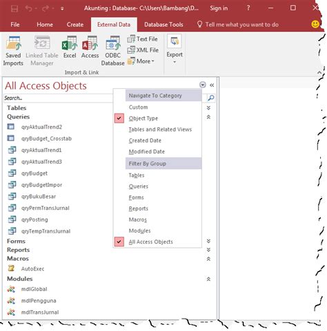 memahami kategori pada navigation pane dan kegunaannya di access