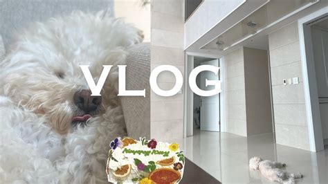 Vlog 시그니엘 비채나에서 생일파티 그리고 새로 이사 온 집에서 먹으면서 보내는 주부 일상 브이로그 Youtube