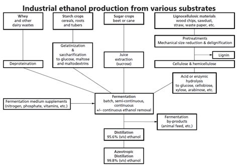 Industrial Production Of Ethanol Microbiology Notes