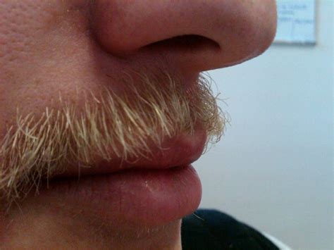 Have Sex With A Guy With A Mustache Day The Campus Socialite