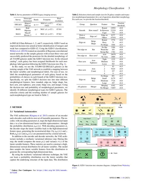 From Images To Features Unbiased Morphology Classification Via