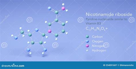 Nicotinamide Riboside Vitamine B3 Moleculaire Structuren 3d Model Structuurchemische Formule En