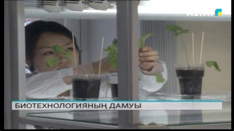 БИОТЕХНОЛОГИЯНЫҢ ДАМУЫ Youtube