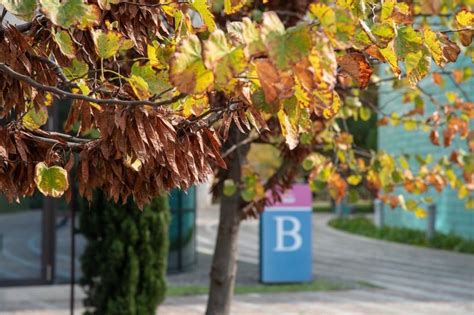 Ulkar Guliyeva Posted On Linkedin