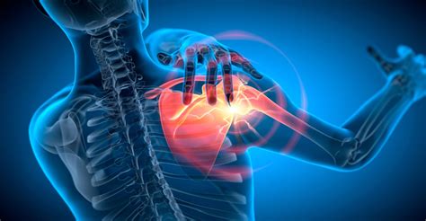 Shoulder Diseases • Op Dr Seçkin Basılgan