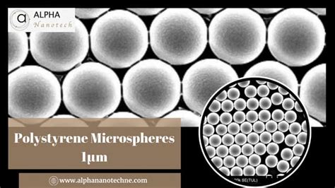 Polystyrene Microspheres 1μm Pptx
