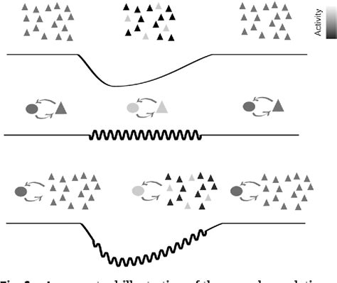 Figure 1 From Nested Theta To Gamma Oscillations And Precise