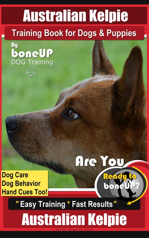 Australian Kelpie Training Book For Dogs And Puppies By Boneup Dog