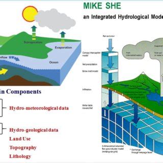 3 Schematic Representation Of The Conceptual Components In MIKE SHE Download Scientific