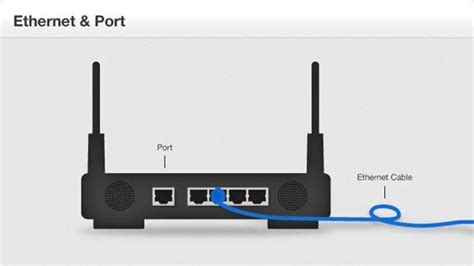 DIAGRAM Netgear Wireless Router Wire Diagram MYDIAGRAM ONLINE