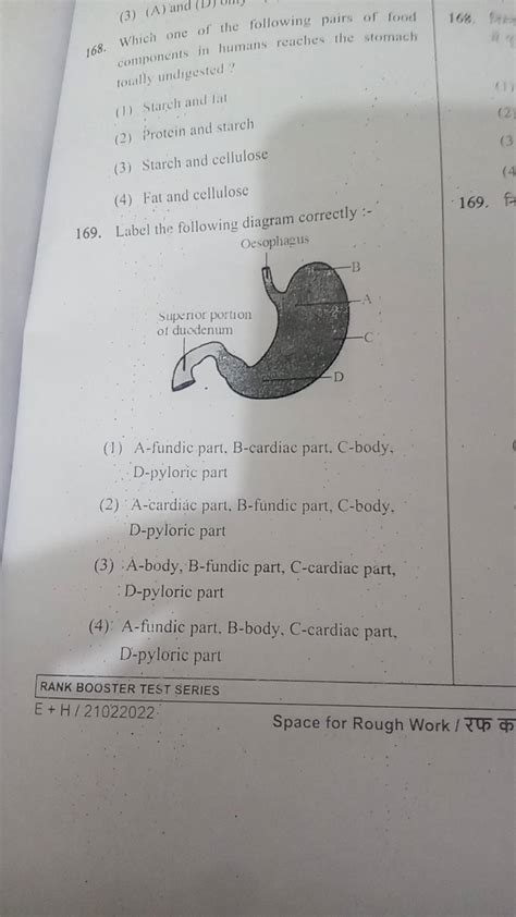 Label The Following Diagram Correctly 169 नि Superior Portion Of Duod