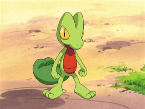Damien S Treecko Pika Fanon Wiki