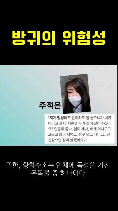 여자 방귀 Vs 남자 방귀 누가 더 독할까 Youtube