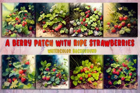 A Berry Patch With Ripe Strawberries Graphic By Meowbackgrounds